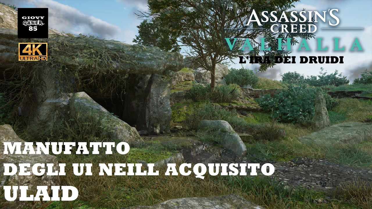 ASSASSIN'S CREED VALHALLA - L'IRA DEI DRUIDI -MANUFATTO DEGLI UI NEILL ...