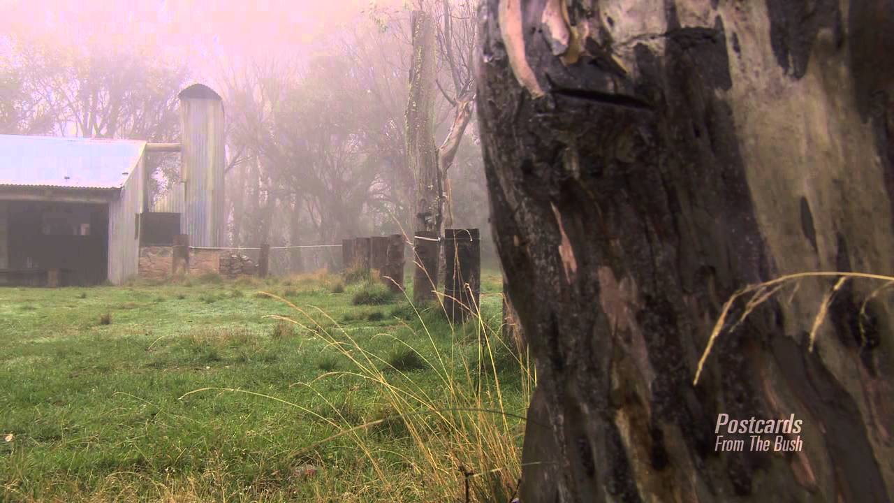 Postcards From The Bush - Charlie Lovick - YouTube