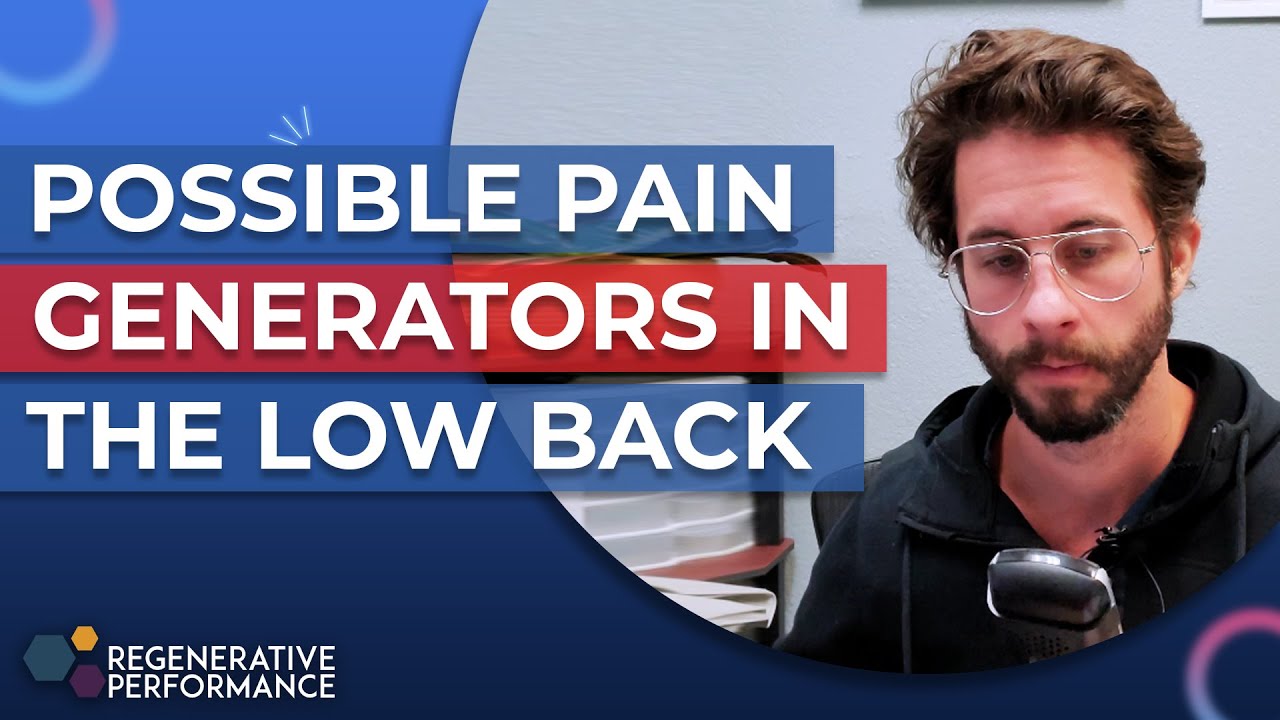 Possible Pain Generators In the Low Back - YouTube