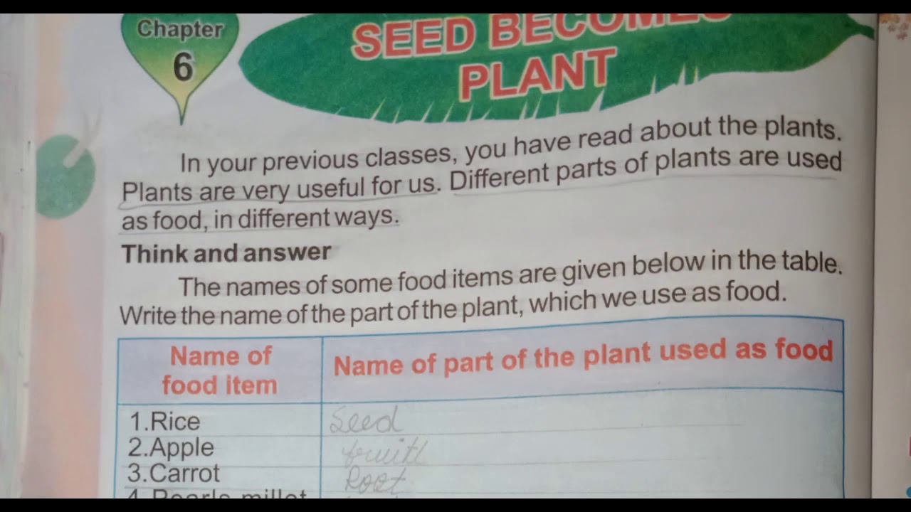 EVS CLASS 5 CHAPTER 6 PART 1 YouTube evs-class-5-chapter-6-part-1-youtube