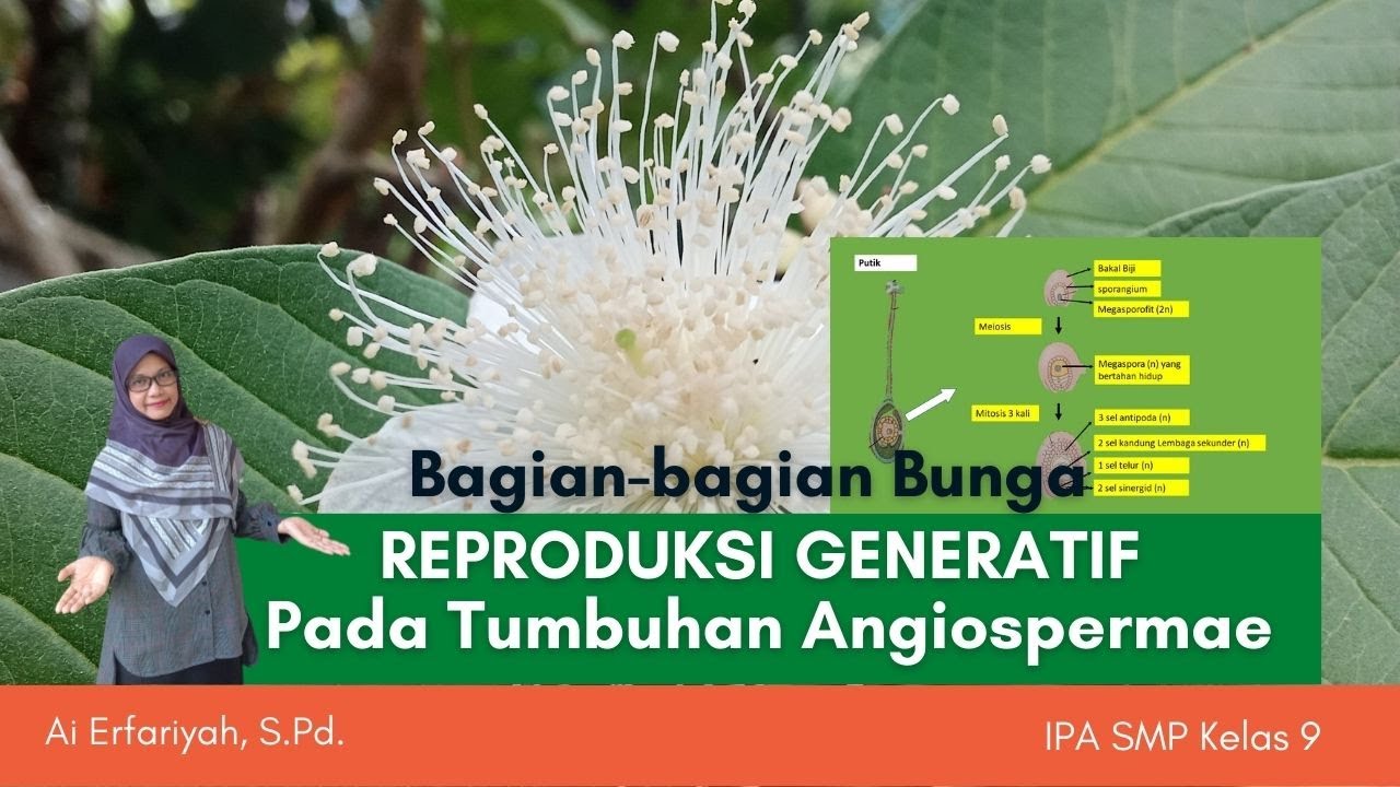 Bagian-bagian Bunga || Reproduksi Secara Generatif pada Tumbuhan ...