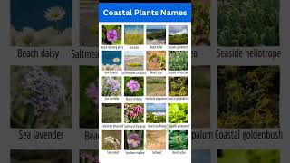 #Coastal Plants name#