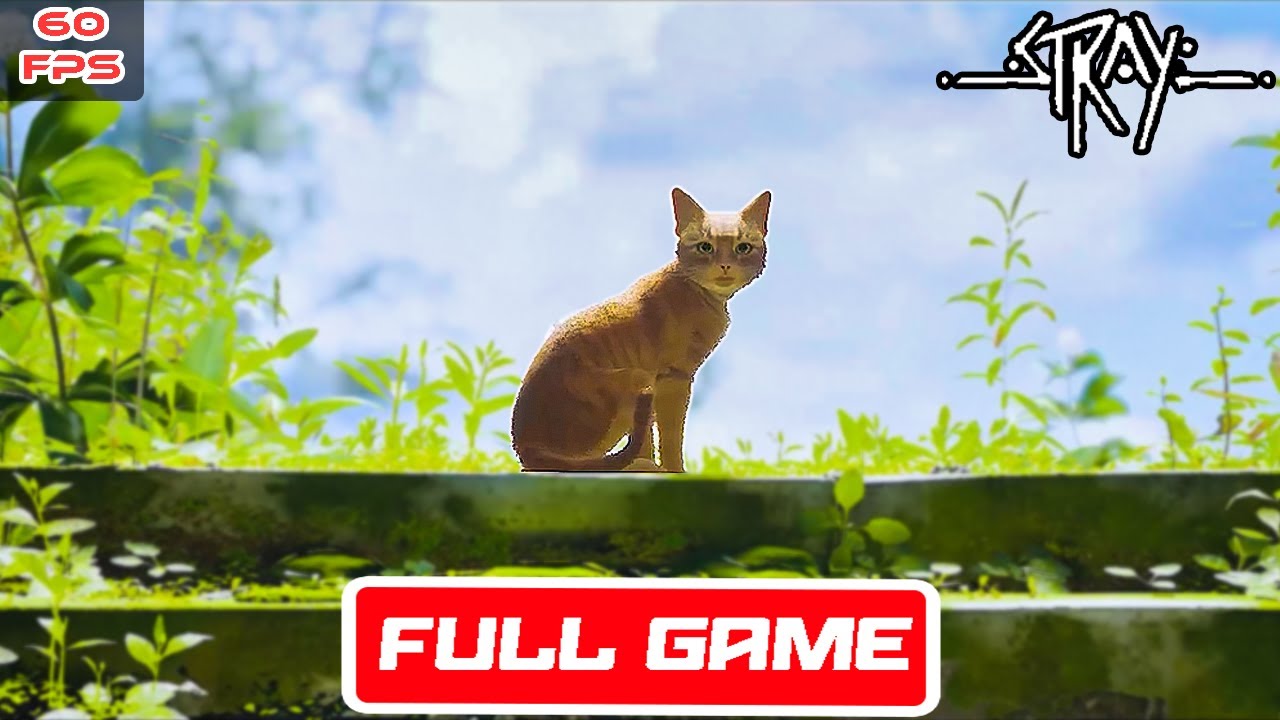 STRAY FULL GAMEPLAY | NO COMMENTARY | STRAY PC WALKTHROUGH GAMEPLAY ...