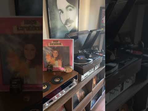 Neşe Karaböcek - Arım Balım Peteğim