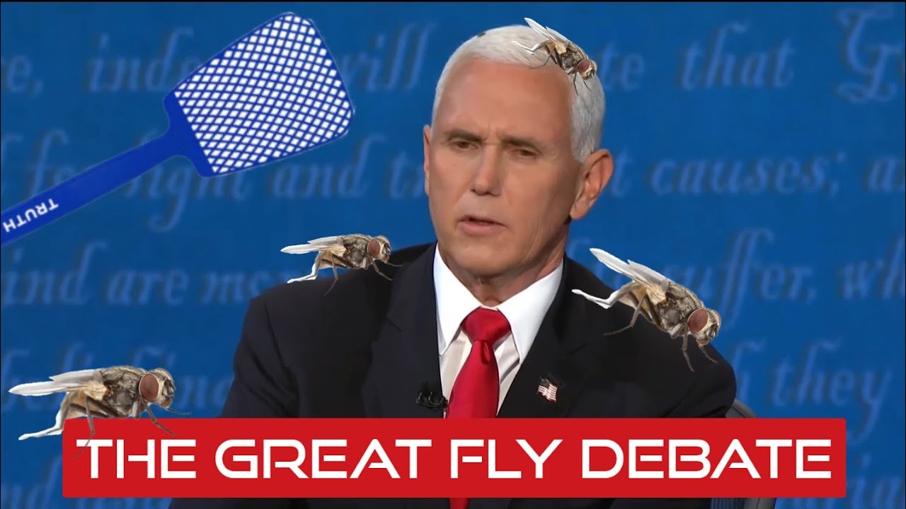Vice Presidential Debate Featuring (The Fly) #presidentialdebate - YouTube