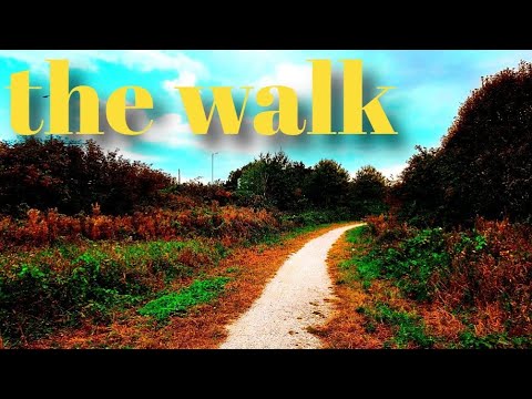 Gentle Walk in Nature | Stroke Recovery & Physiotherapy Progress - YouTube