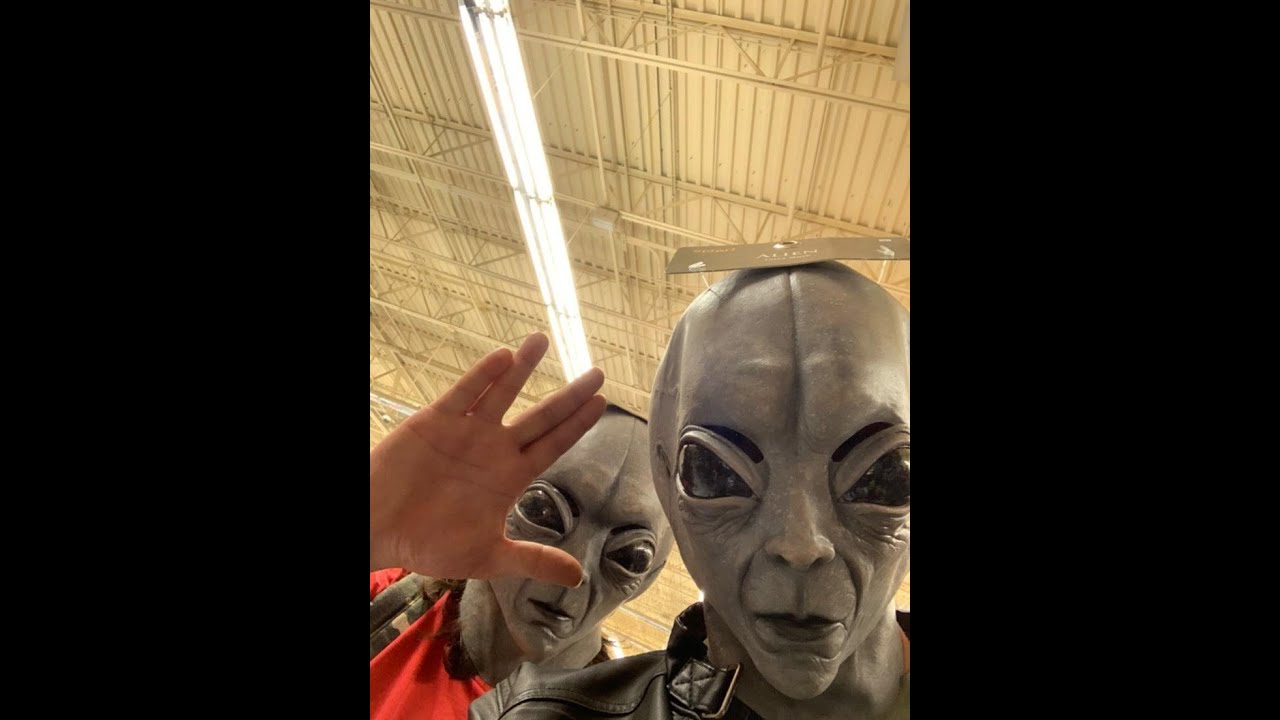 Frunky and Microweener Vlog Episode 1 - The Beginning - YouTube