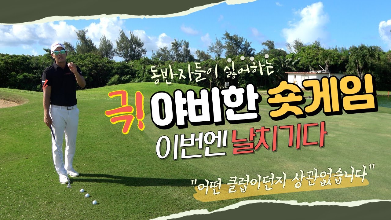 골프레슨 야비한 날치기 And 절대 미스가 나지 않는 극도로 야비한 숏게임 And 얍삽한 숏게임 And 동반자들이 싫어합니다 And 돈버는
