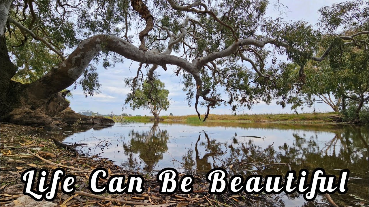 A Beautiful Life♥️ Get Out & Enjoy Every Moment Of Every Day!! - YouTube