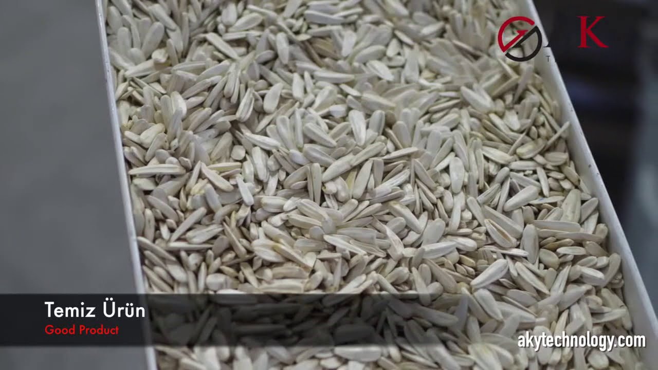 Sunflower Seed Color Sorter, Fotosorter - AKY Technology - YouTube