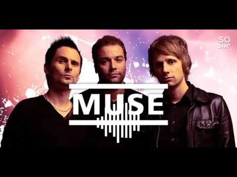 Muse reff