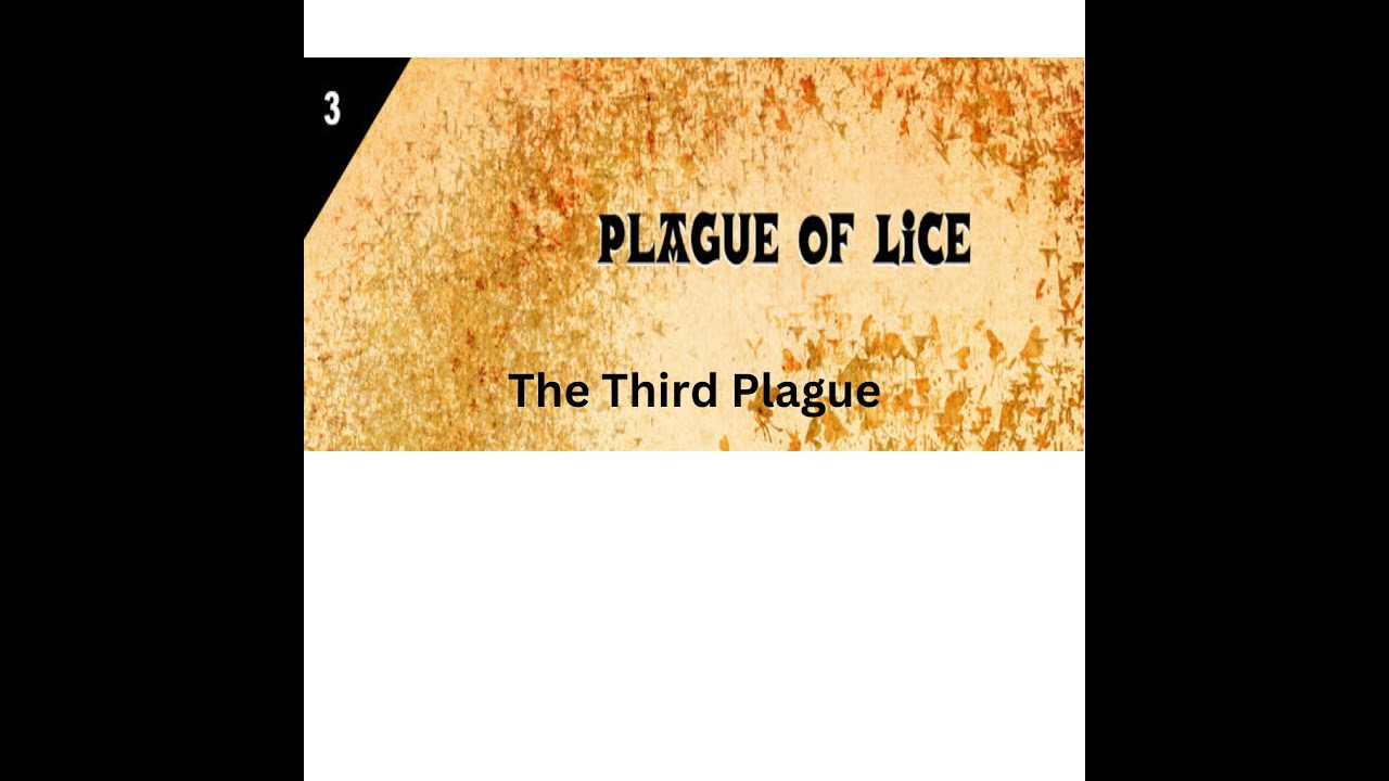 The Plagues of Egypt Why Those Plagues The Third Plague Lice - YouTube