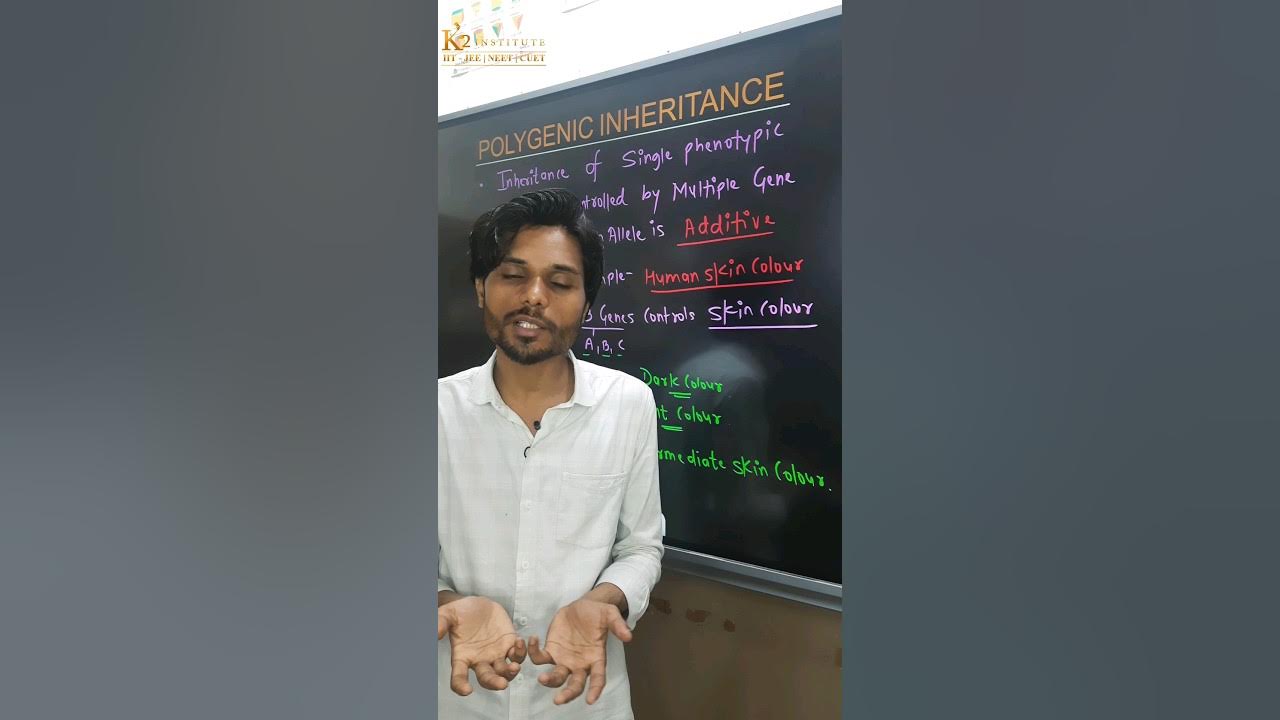 Polygenic Inheritance - Principles of Inheritance and Variation | Class 12 #k2institute #shorts ...