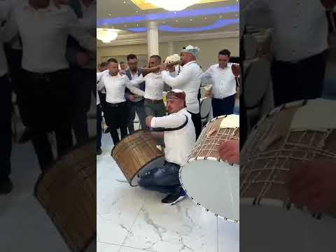 Tupanat në Gjermani Info Contact +49 172 8058966