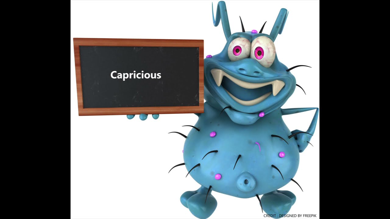 GRE Vocabulary with example sentences No : 30 - Capricious - YouTube