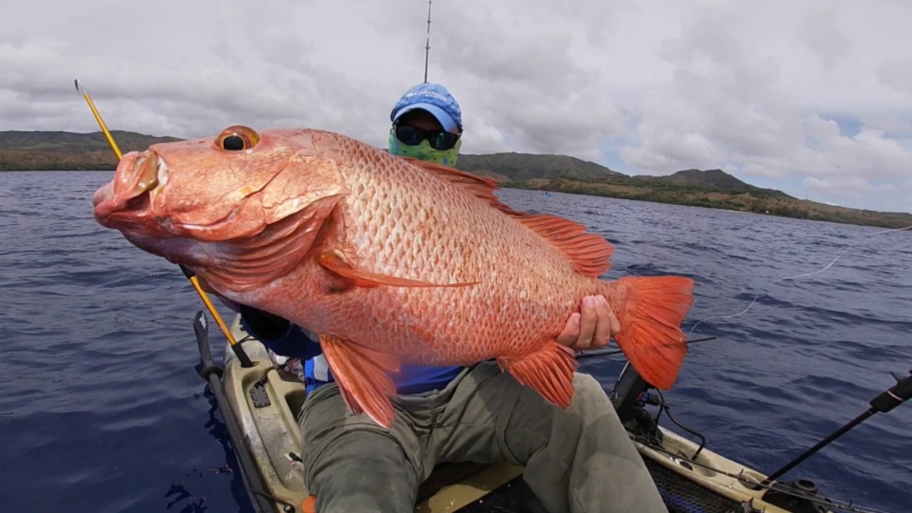 Large Guam Kayak Snapper - YouTube