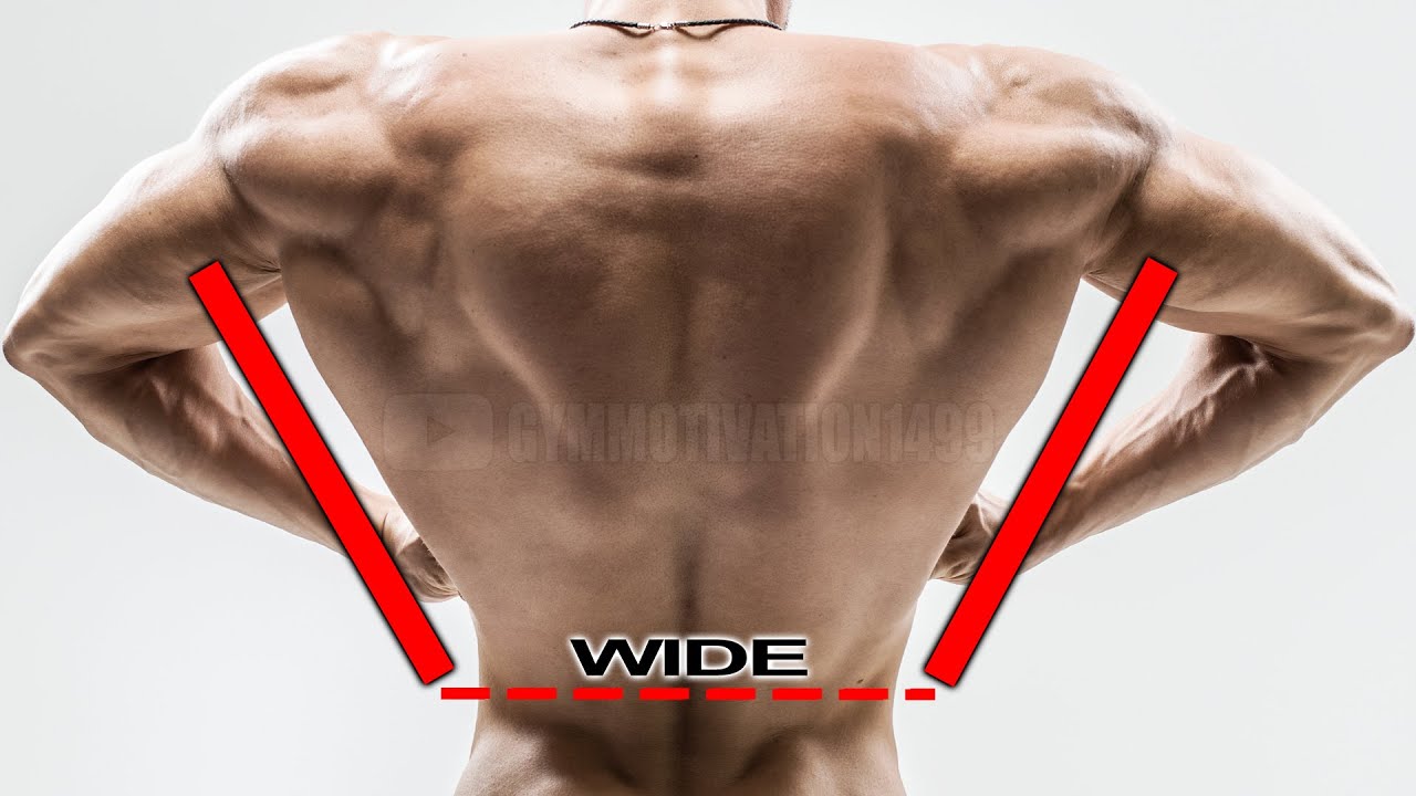 Build your Back in 30 Days ( Effective Exercises ) - YouTube