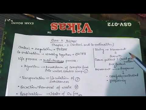 Biology Ch-2 Class-10 - YouTube