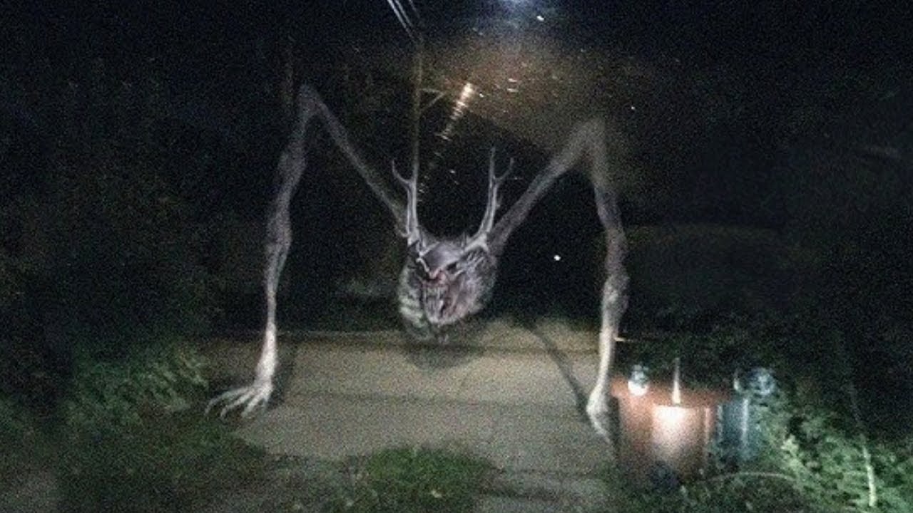Top 10 Unknown DISTURBING Creatures Caught on Camera - YouTube