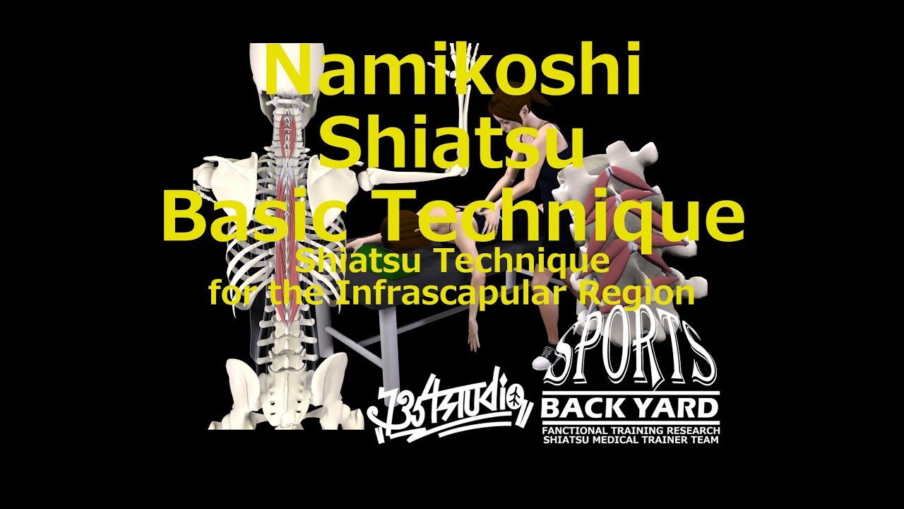 Namikoshi Shiatsu Basic Technique(Shiatsu Technique for the ...