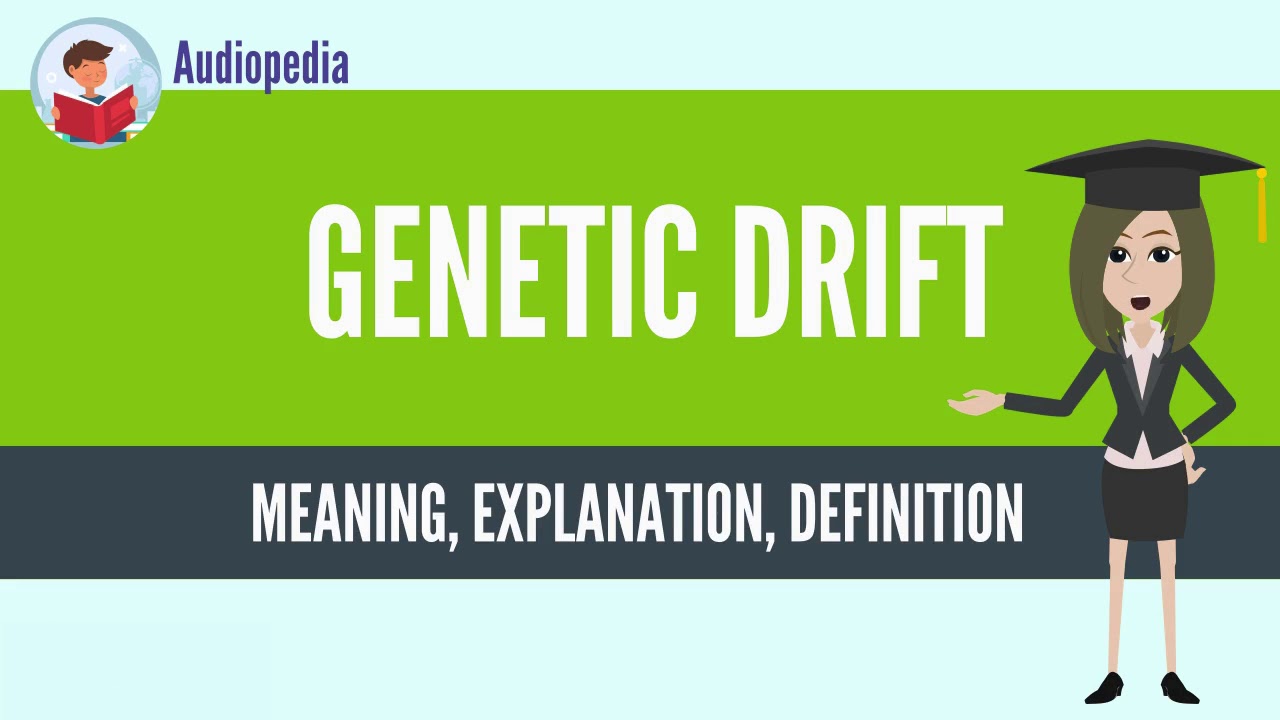 What Is GENETIC DRIFT? GENETIC DRIFT Definition & Meaning - YouTube