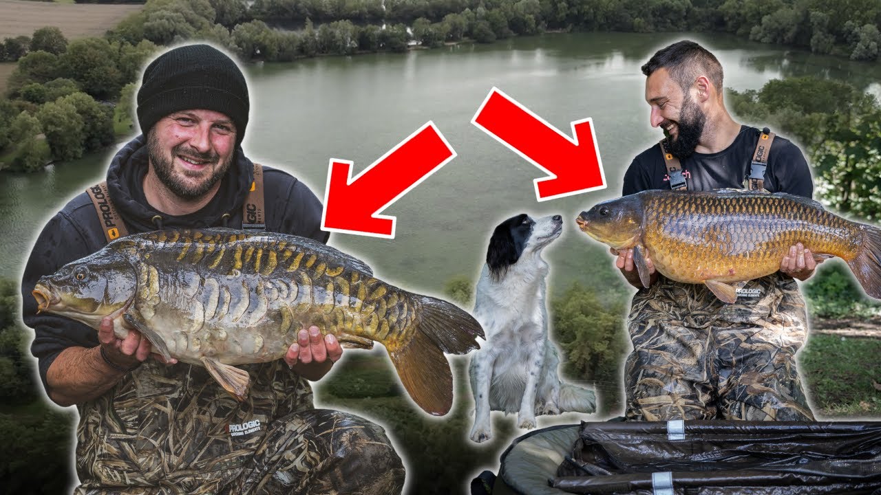 Cotswold Big Carp | Horcott Lakes | CARP FISHING in Gloucestershire ...