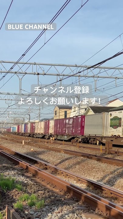 (貨物列車) 2024/04/20 5054レ EF210-169 + コキ23B (47分遅れ) (福岡タ〜東京タ) #Shorts - YouTube