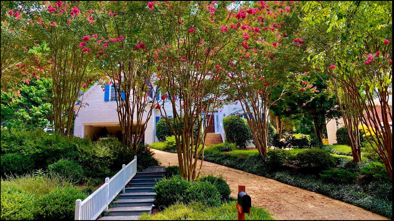 106 Duckwood Ln for Sale - YouTube