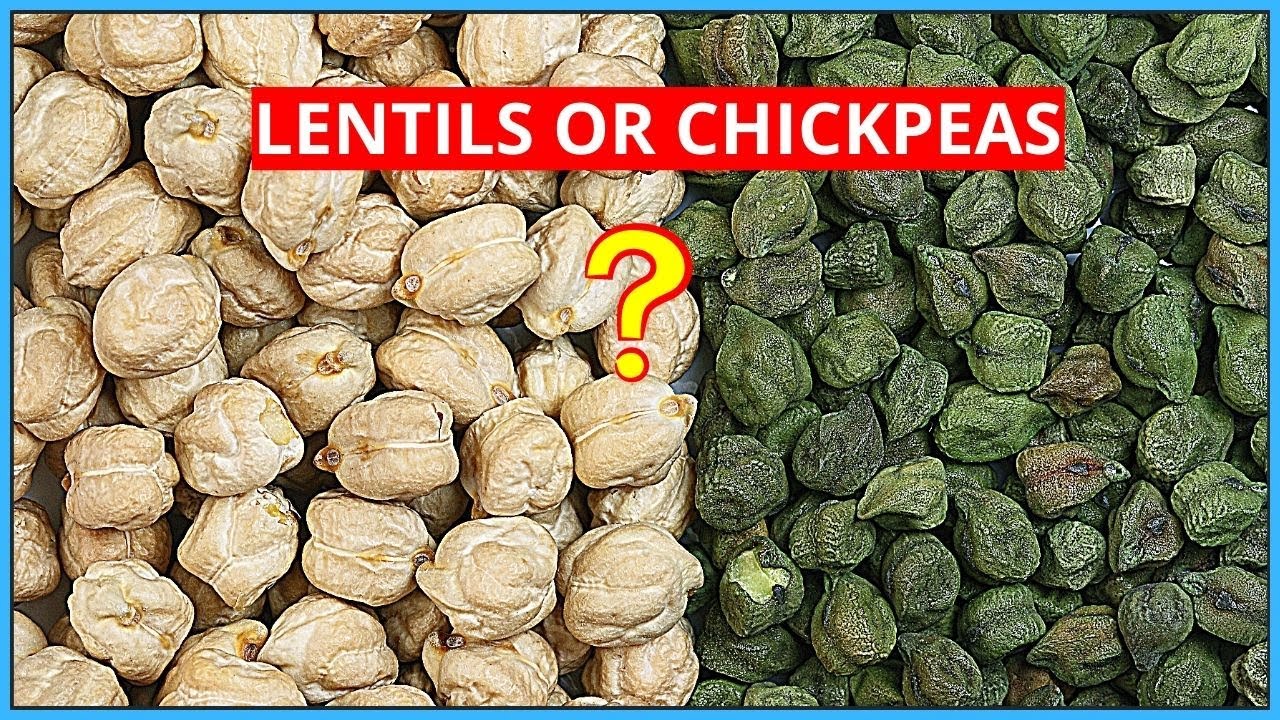 [Lentils Or Chickpeas] Benefits Of Lentils And Chickpeas — One Pot ...