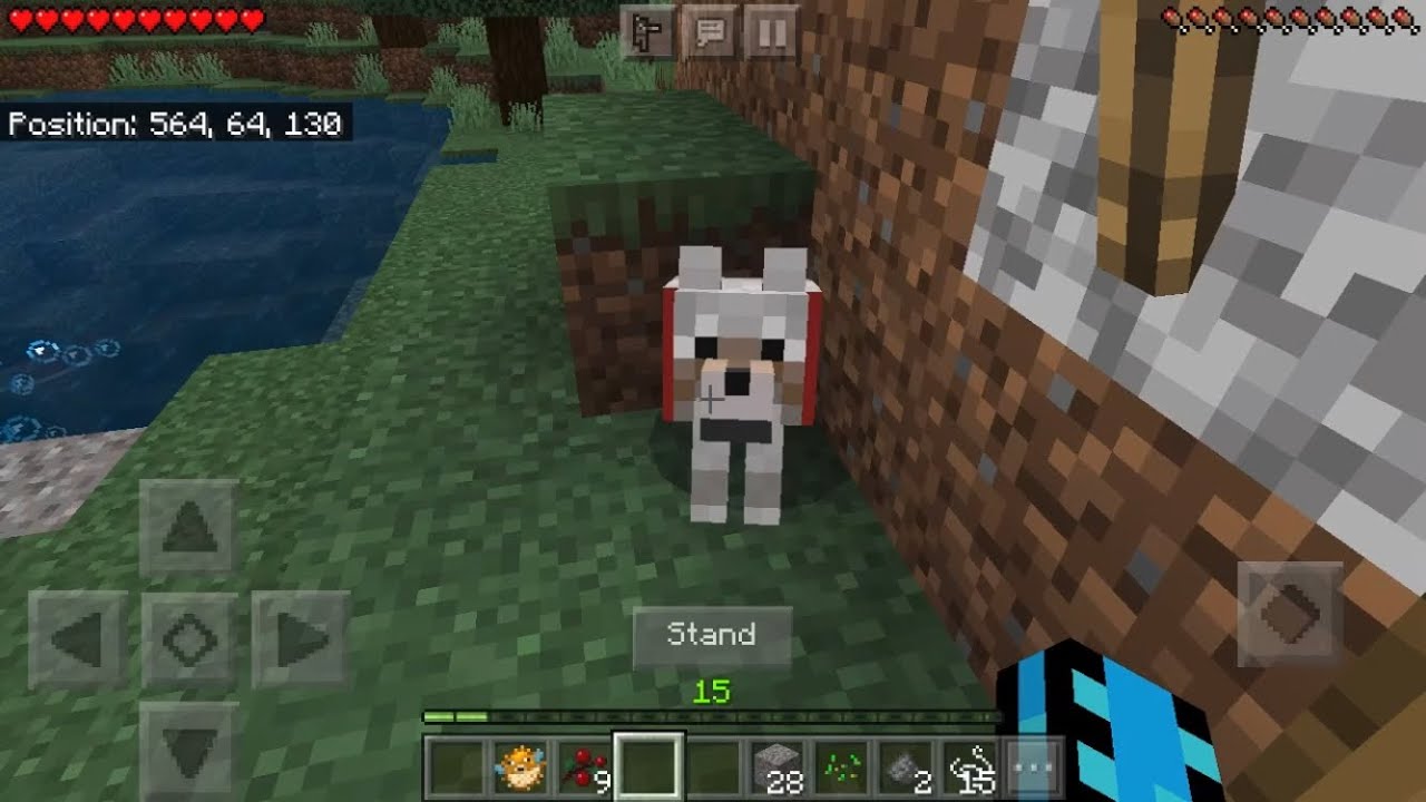 Minecraft-Watching my dog until I die or get bored - YouTube