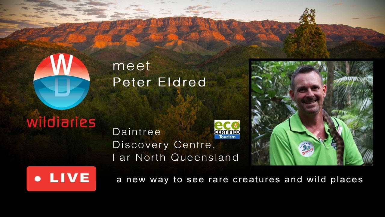 Wildiaries VentureSome Live - Peter Eldred, Daintree Discovery Centre ...