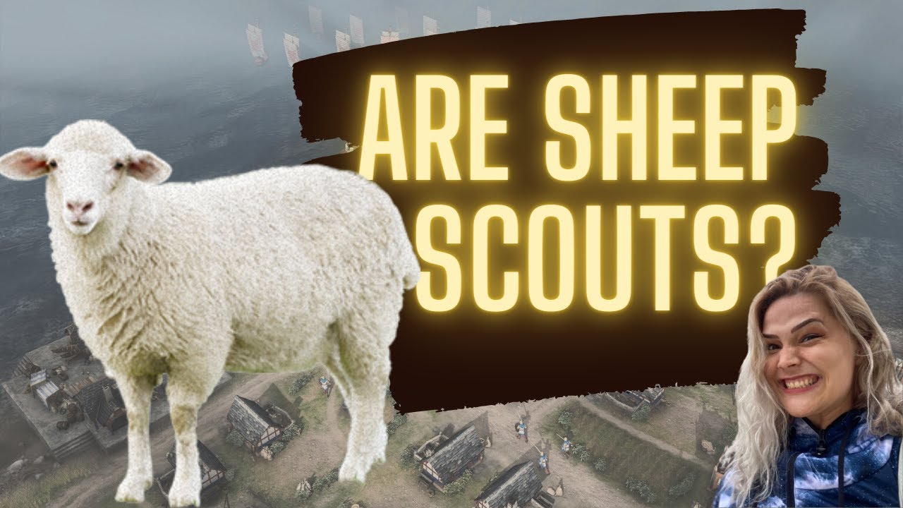 Can you scout with sheep? - Age of Empires 4 - YouTube