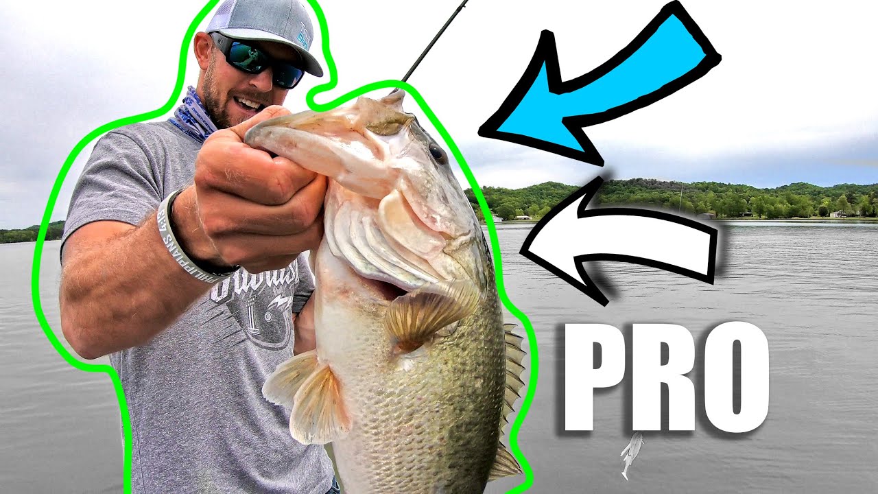 HOW Does an FLW TOURNAMENT Pro Catch More FISH!??! + (REVEALED) - YouTube