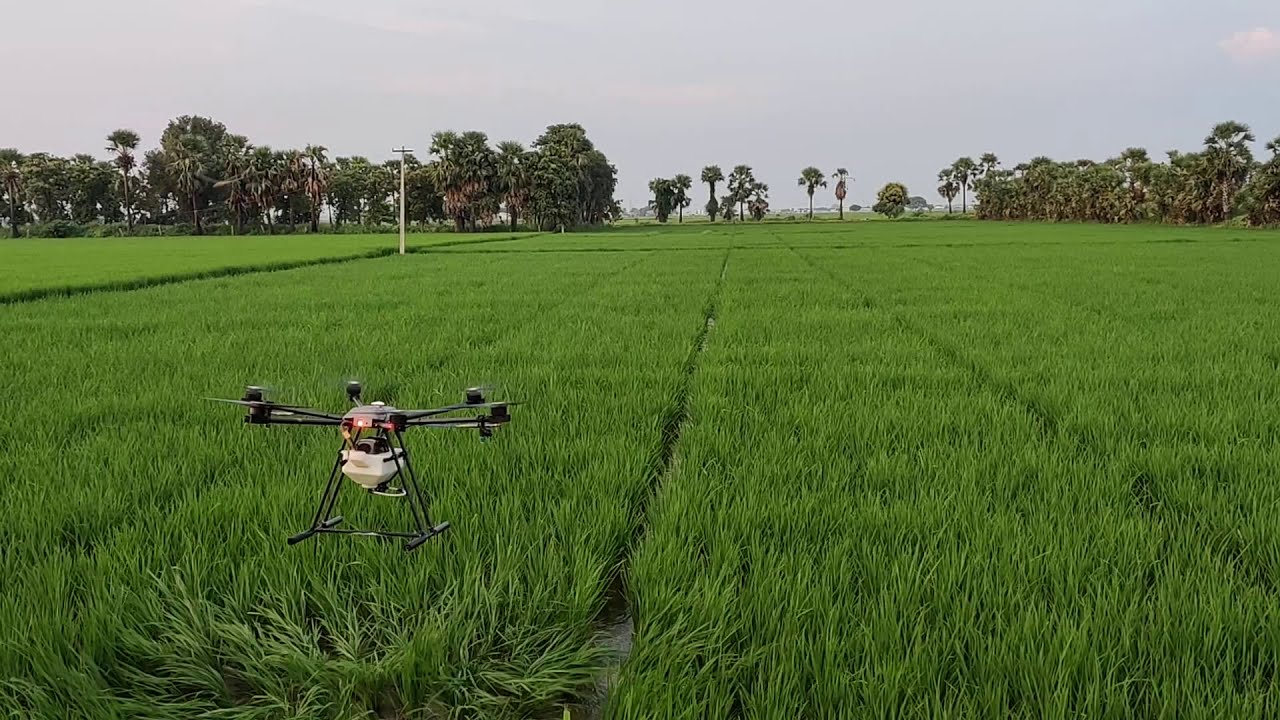 Agriculture Drone Spraying in Andhra Pradesh for Paddy Fields - Aries ...