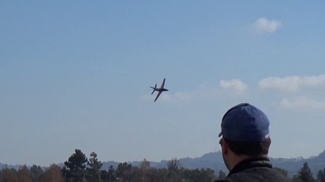 Elad Fish turbine flight - YouTube