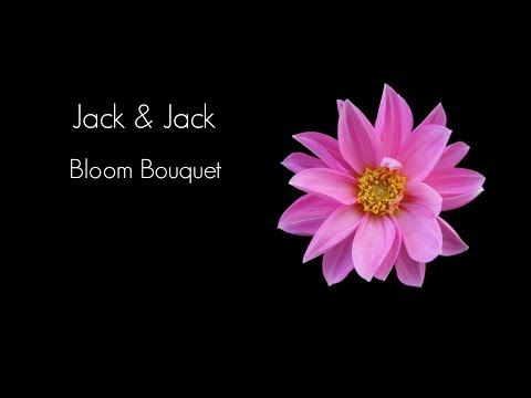 Bloom Bouquet - Jack & Jack lyrics