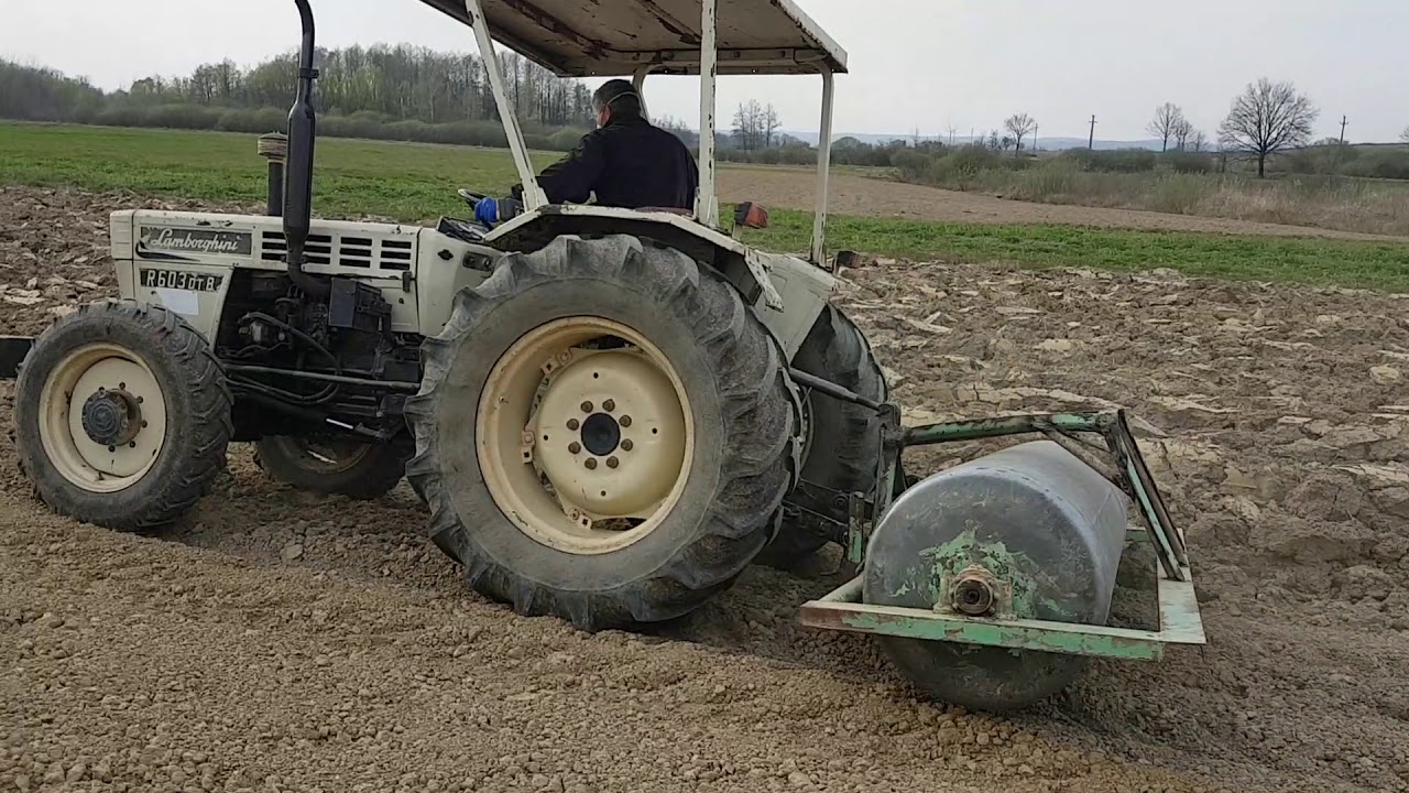 Tractor lamborghini R60DTB/La dat cu tavalugul pe trifoi semănat 2020 ...