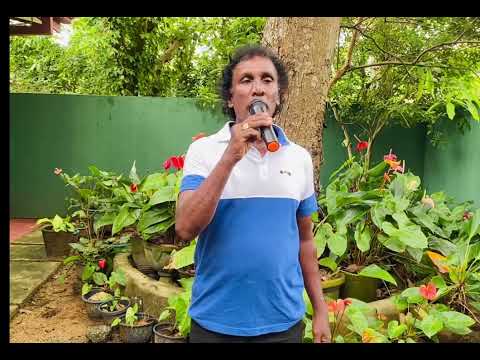 Sithum Pathum Podi Adare cover song - YouTube
