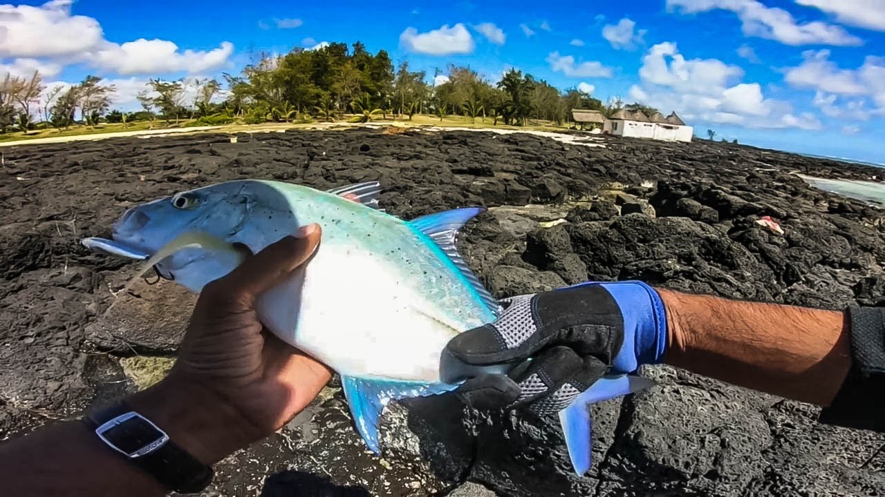 BLUEFIN TREVALLY Shore Fishing in MAURITIUS - YouTube