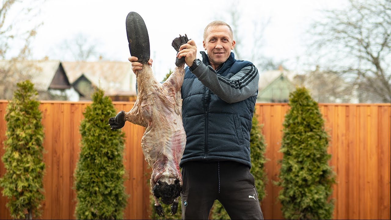 cooked beaver according to an old recipe - YouTube