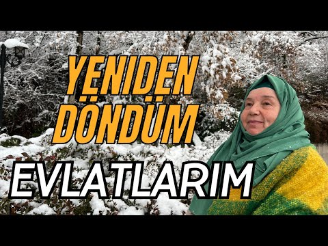Nerdesin? Hanifana