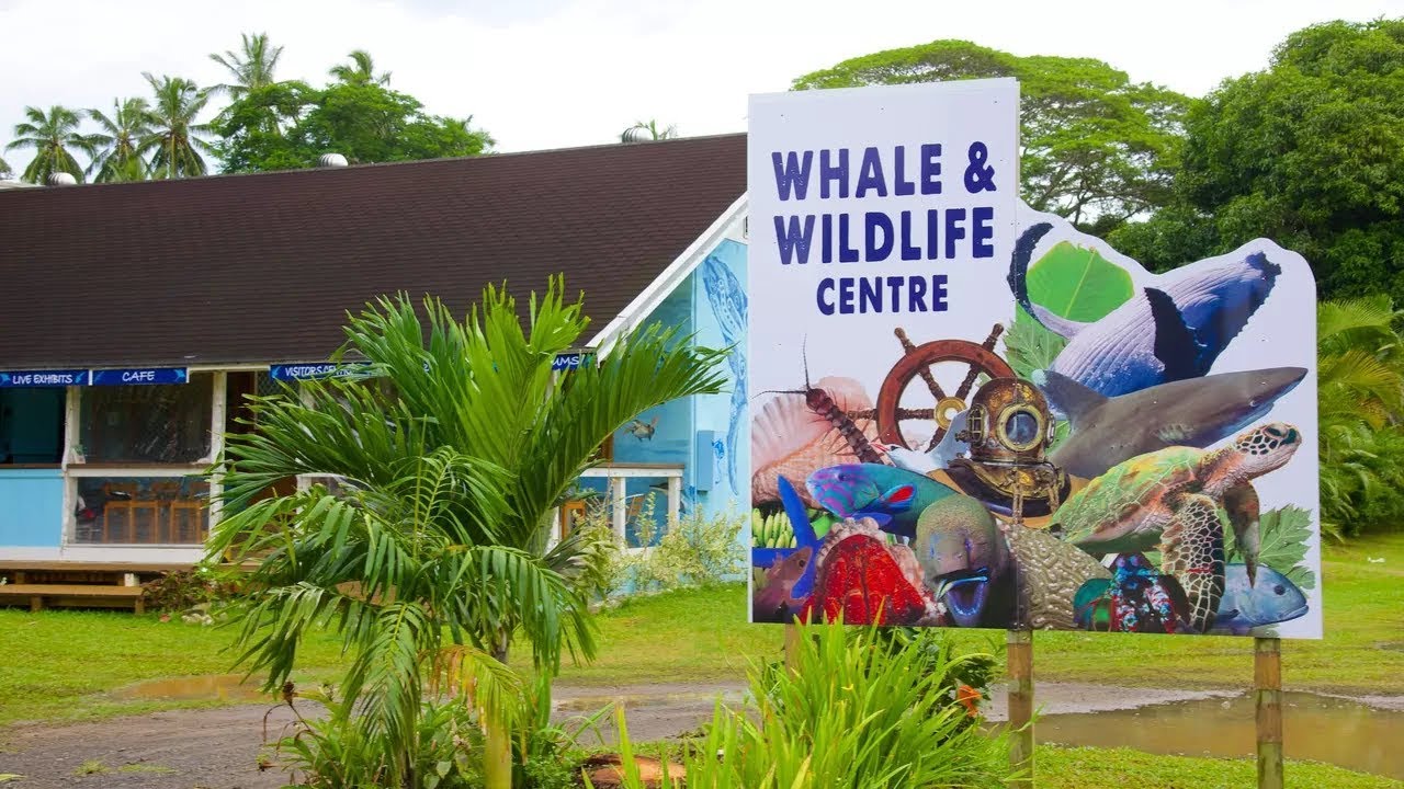 Go Pacific - Cook Islands Wildlife Centre, un'attrazione da non perdere ...