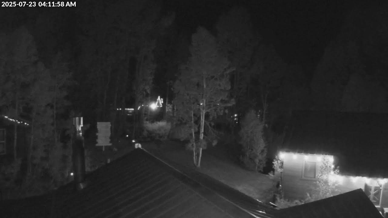 Live Leaf Cam - Desolation Hotel Hope Valley - YouTube