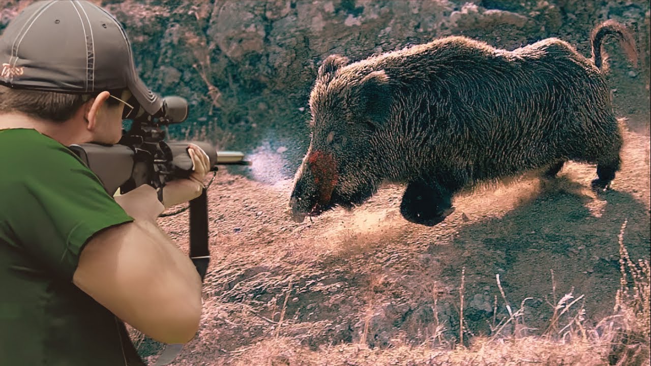 WHEN HUNTERS HUNT BOARS | Part 5 - YouTube