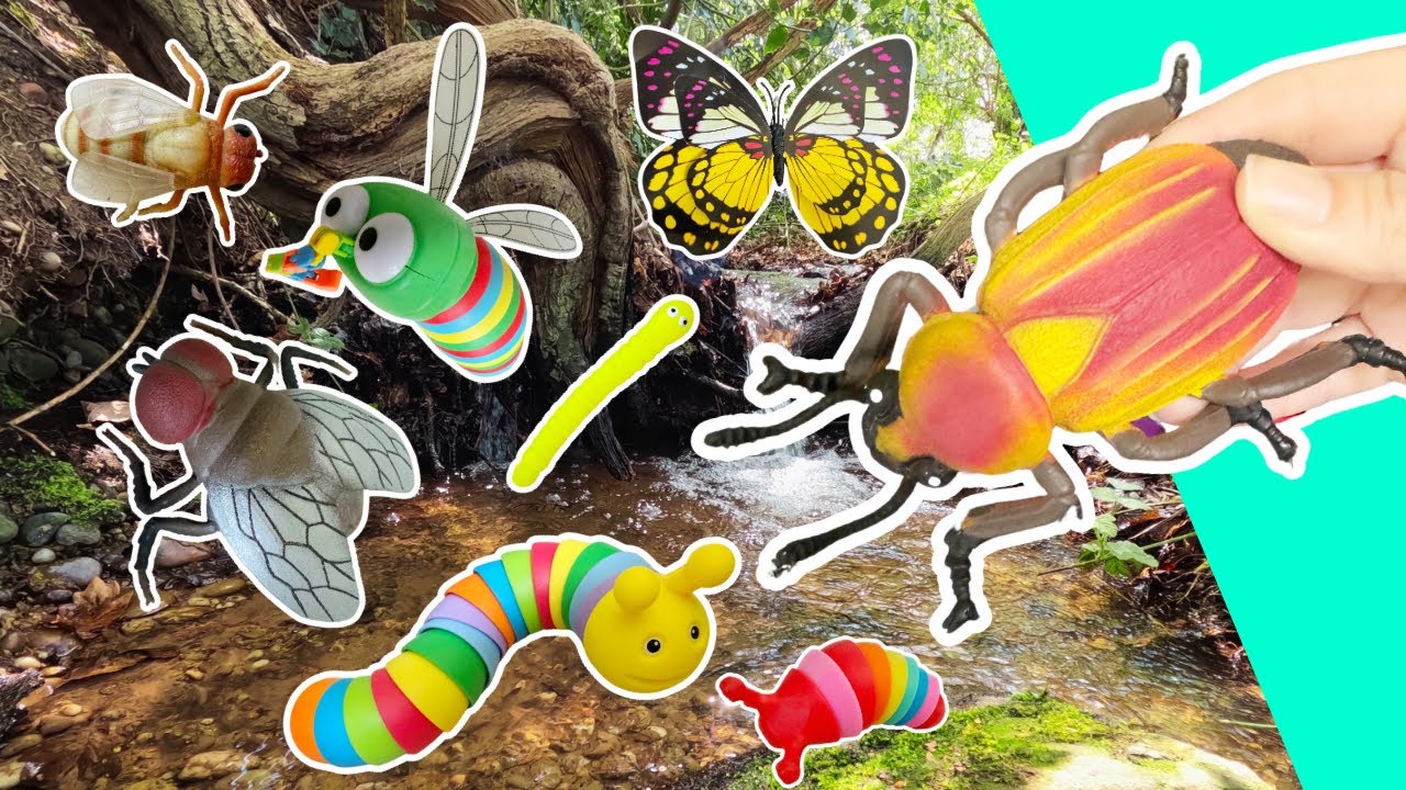 Kids Learn | Bug Insect Names & Facts at the Double Waterfall ...