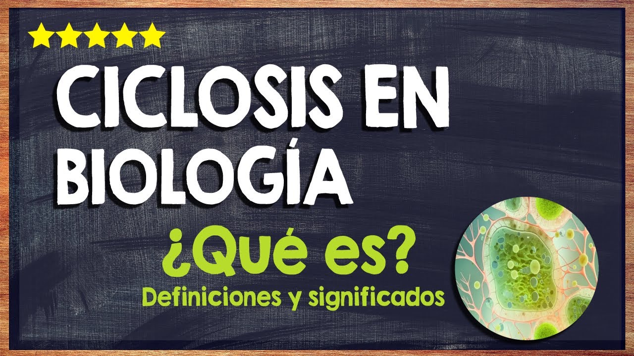 🙏 ¿Qué es la ciclosis en biología? - Conoce la función de la ciclosis 🙏 ...
