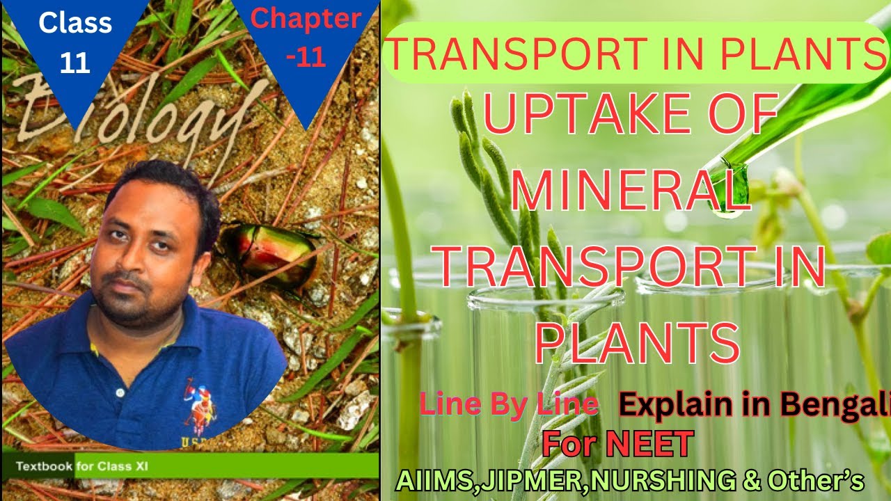 Uptake of mineral nutrient by plants class 11@Harun-biozone - YouTube