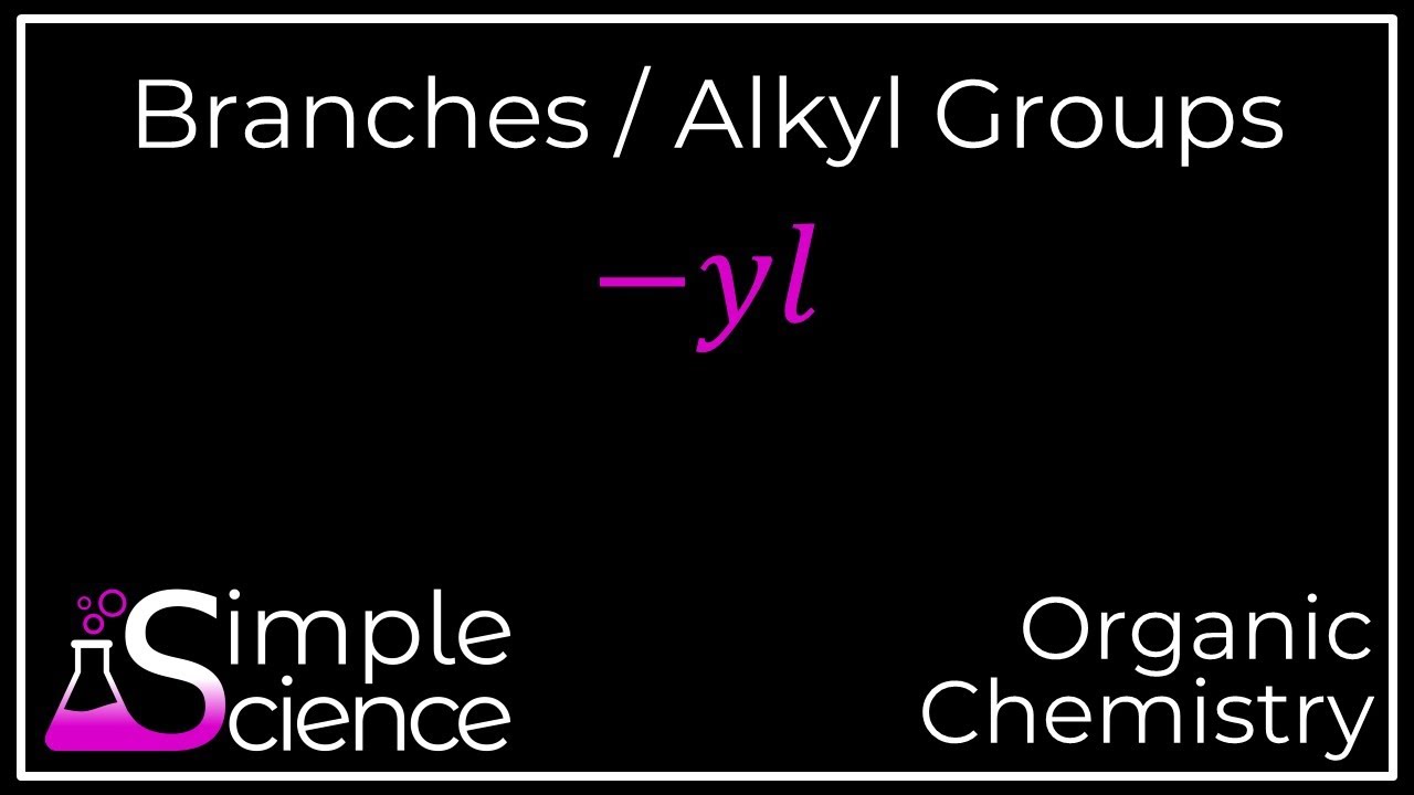 Branches / Alkyl Groups - YouTube