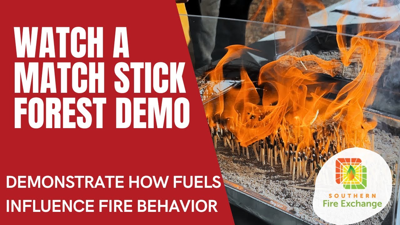 SFE Match Stick Forest Demonstration - 2025 Flatwoods Fire and Nature ...