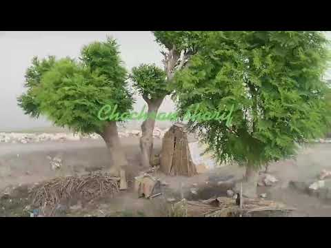 Chachran Sharif - YouTube